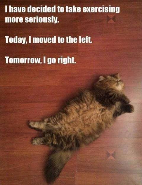 Fibromyalgia Memes That Might Make You Laugh - Fibromyalgia Resources Fibromyalgia Memes That Might Make You Laugh - Fibromyalgia Resources